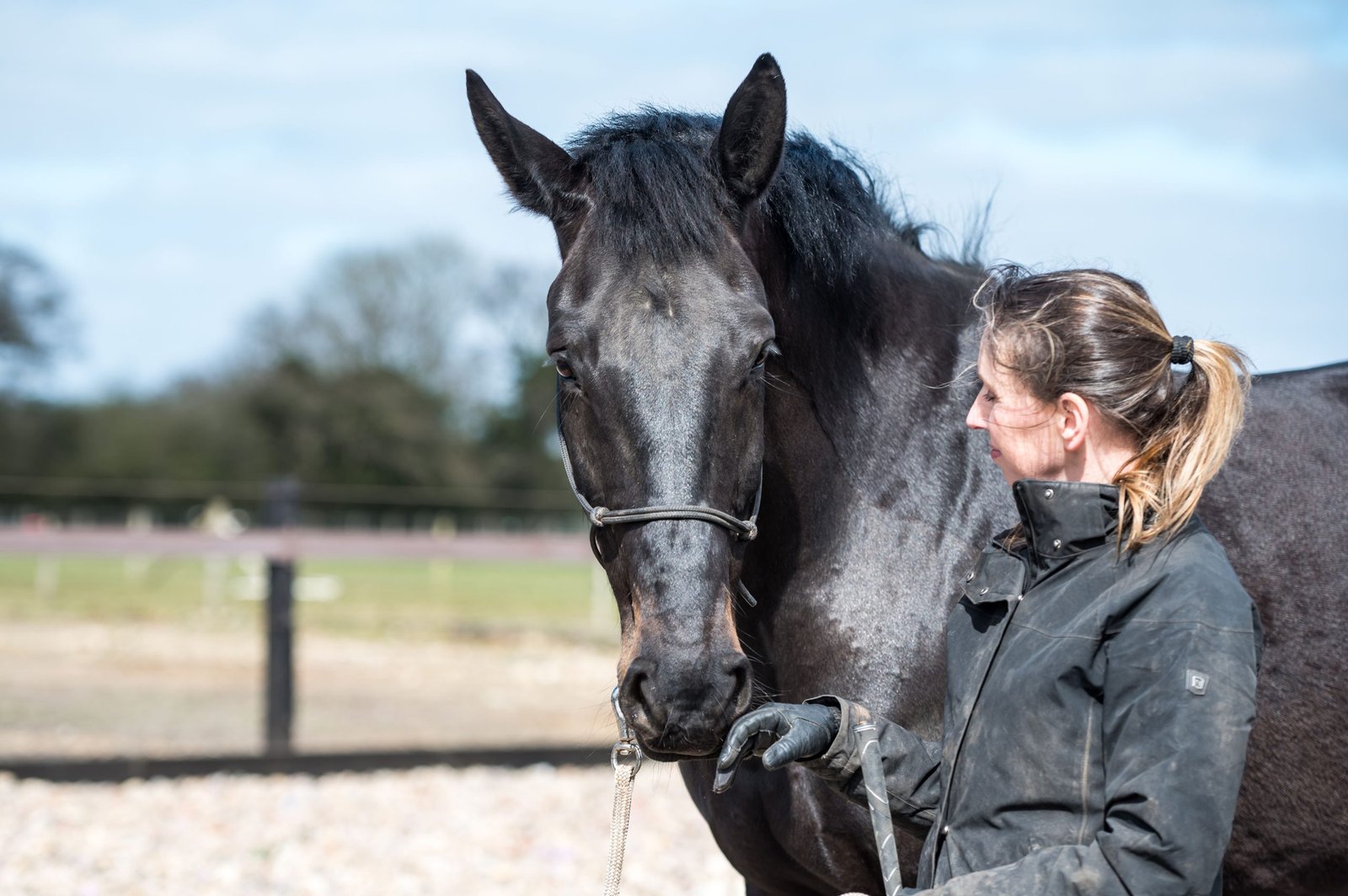 Indoor Arena Hire | Dodderhill Equestrian and Stud